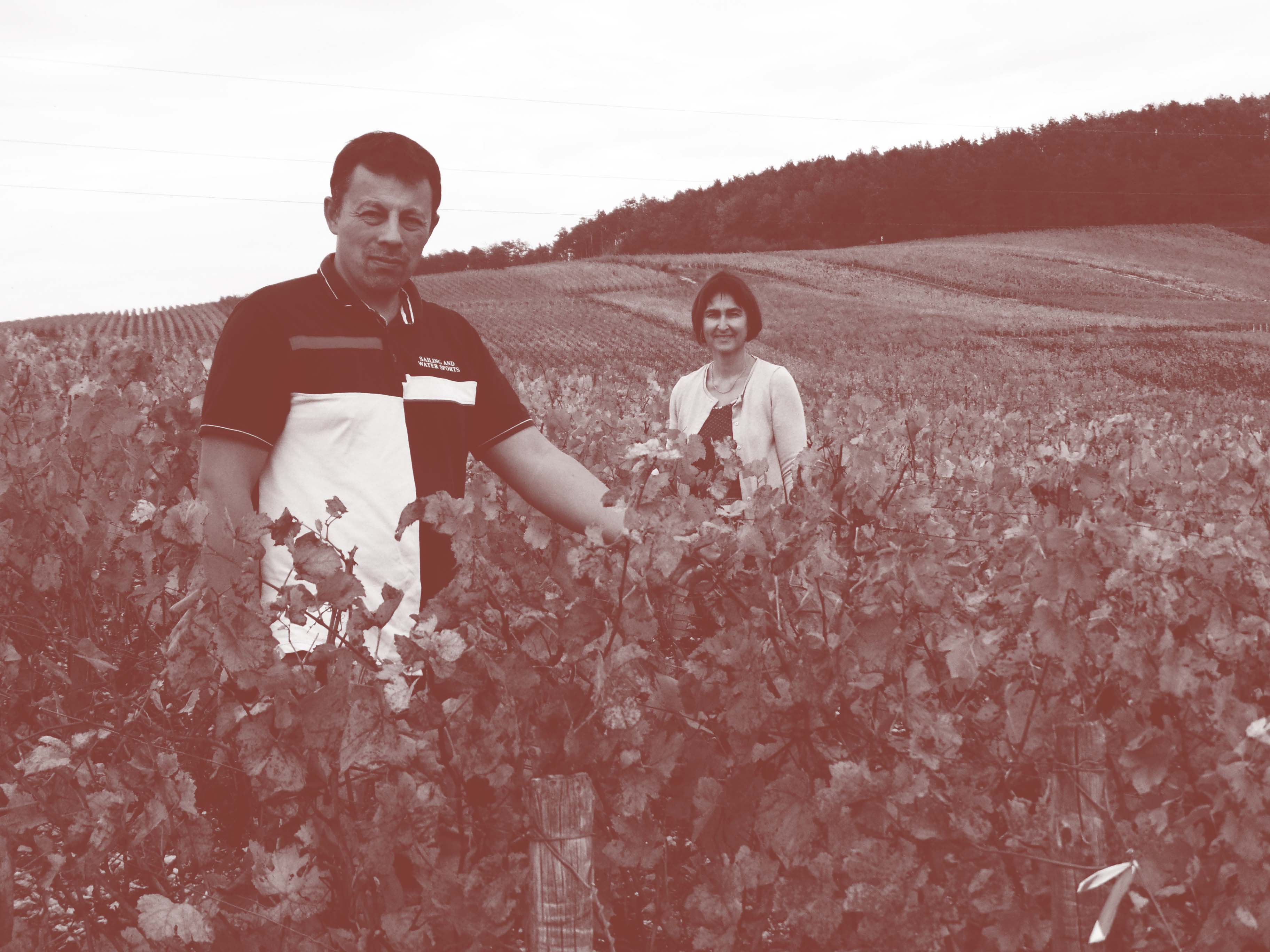 Simon-Devaux – Indigeni